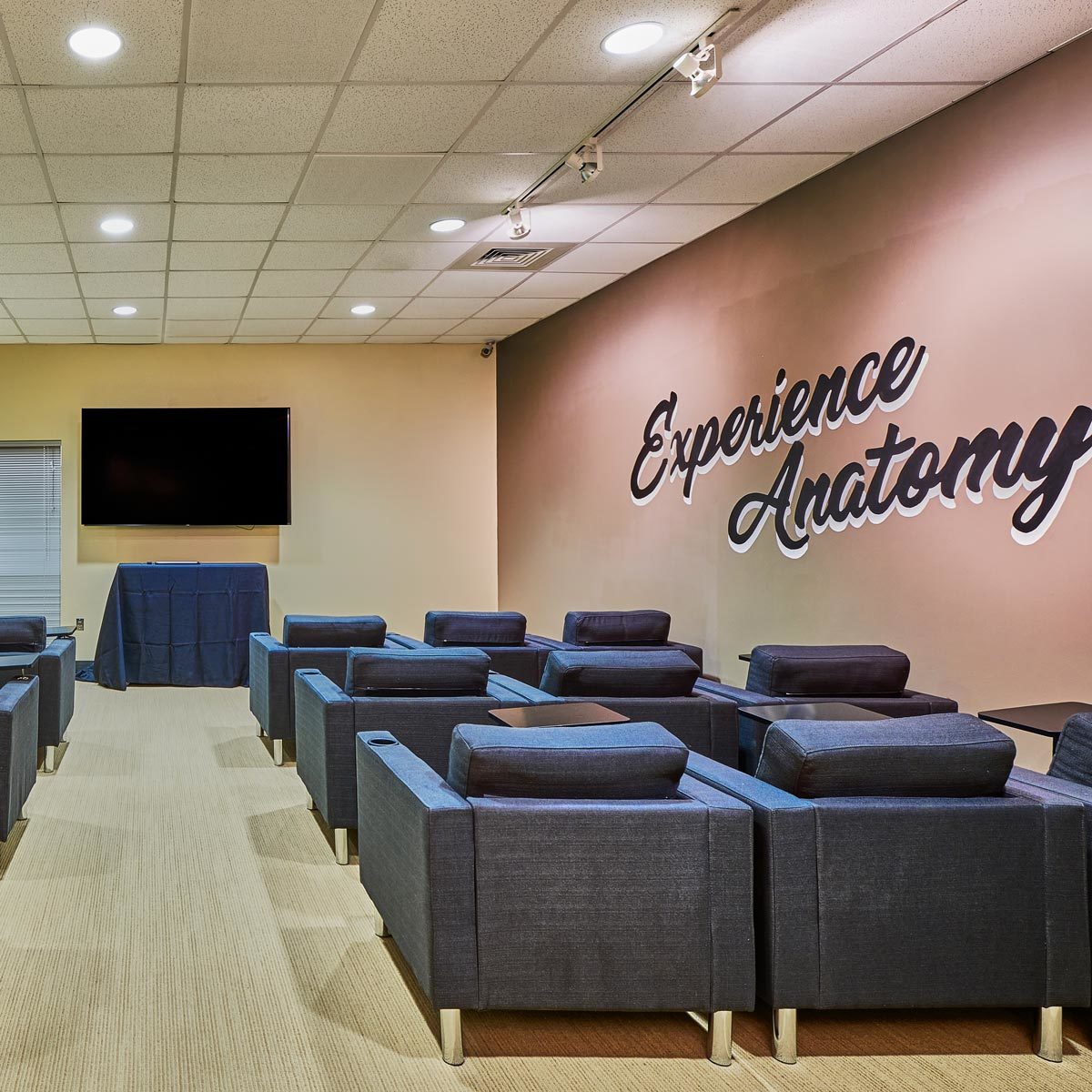 Experience Anatomy - Black Wednesday